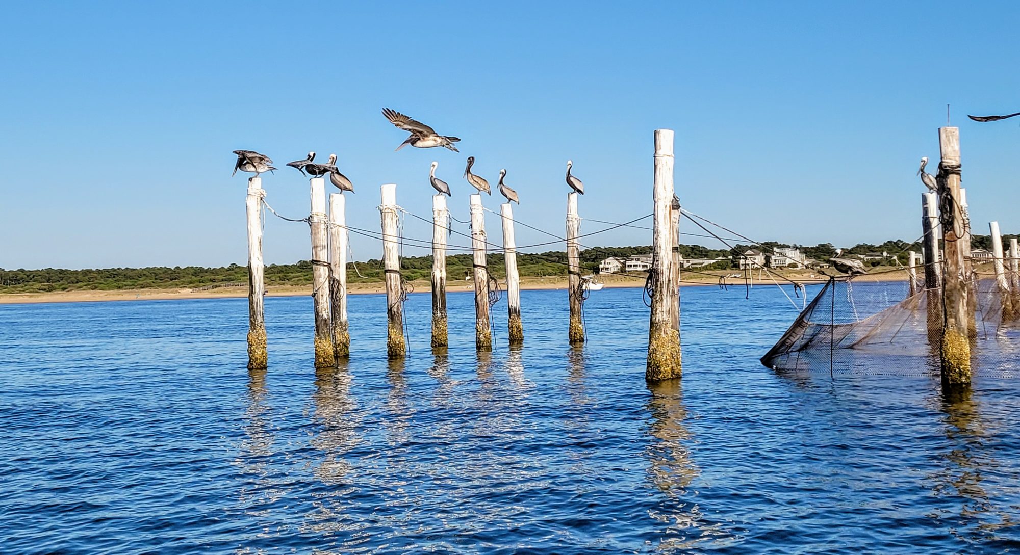 Bay Coastal Watershed - Lynnhaven River NOW