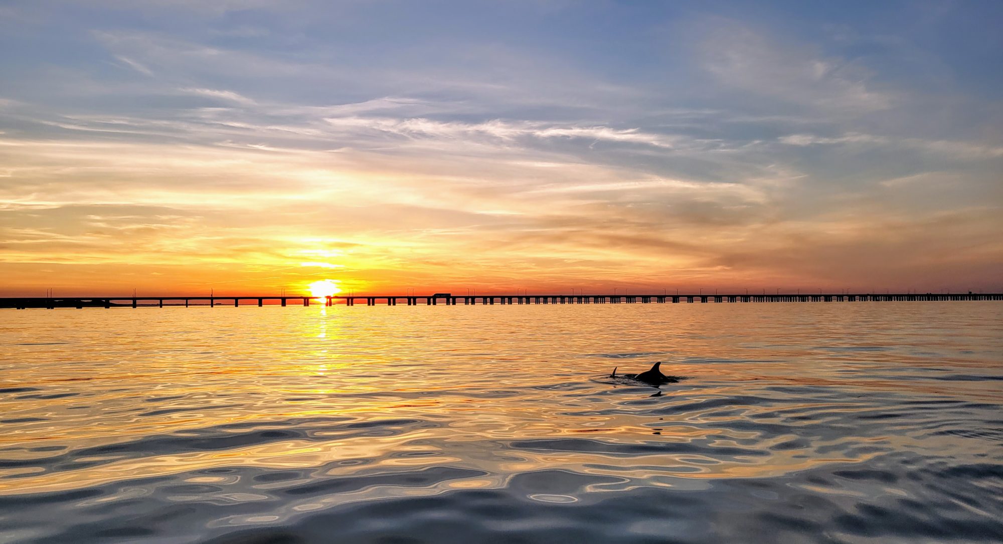 Bay Coastal Watershed - Lynnhaven River NOW