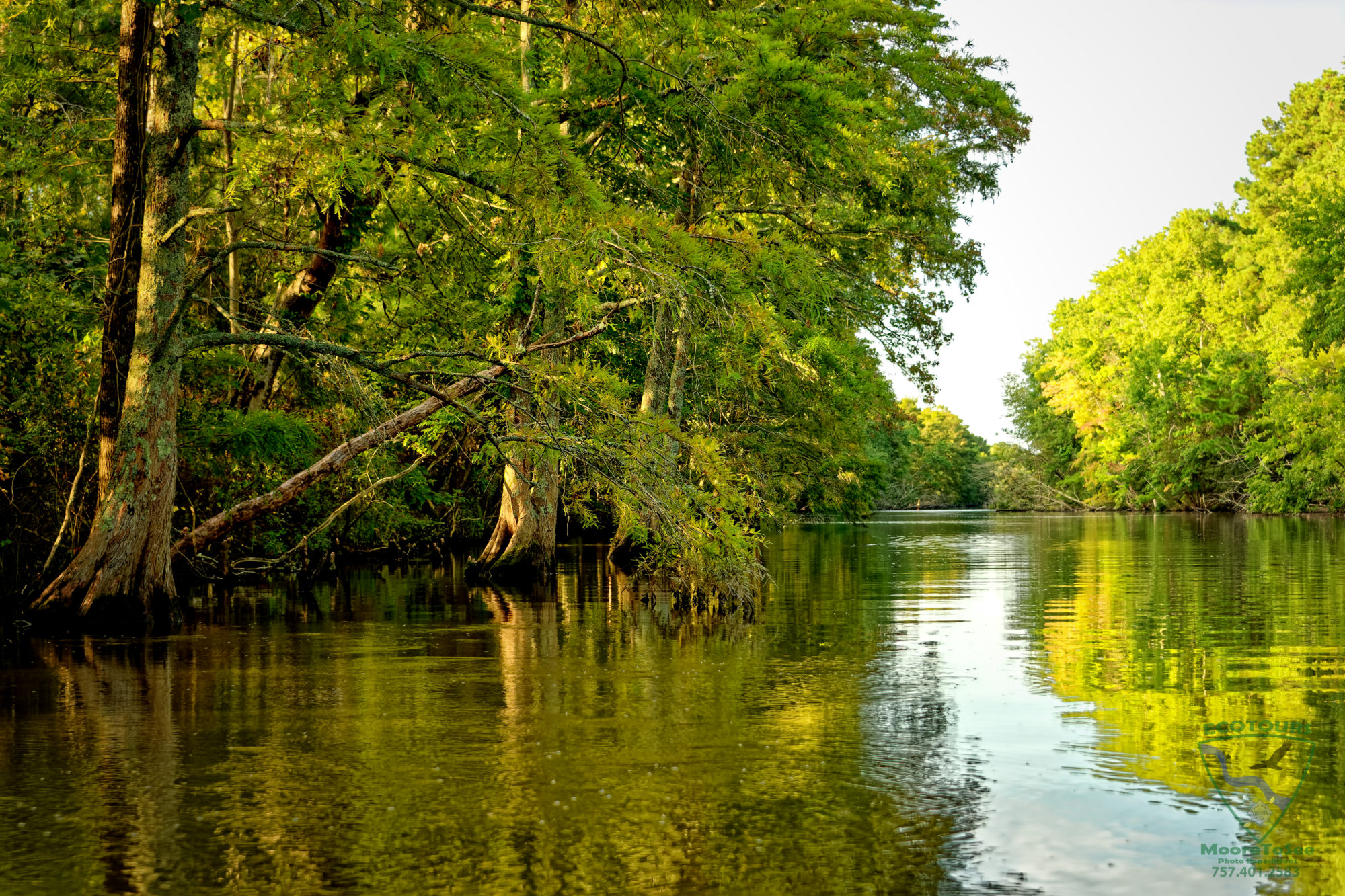 Back Bay Watershed - Lynnhaven River NOW