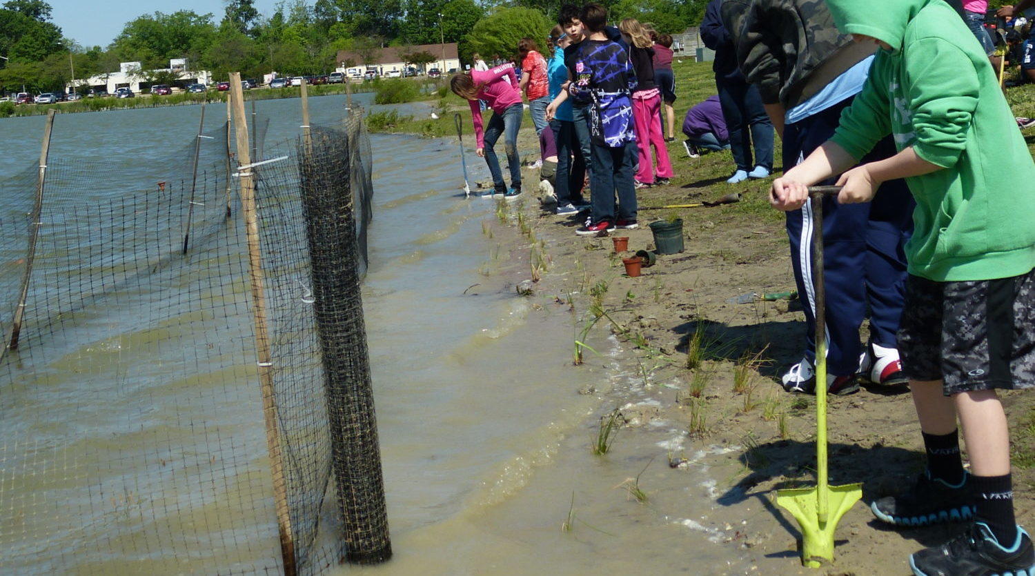 WHAT YOU SEE HERE - Shoreline Restoration - Lynnhaven River NOW