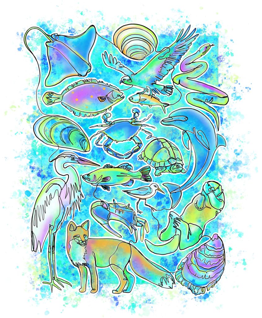 LRNow 20th Anniversary Celebration - Lynnhaven River NOW