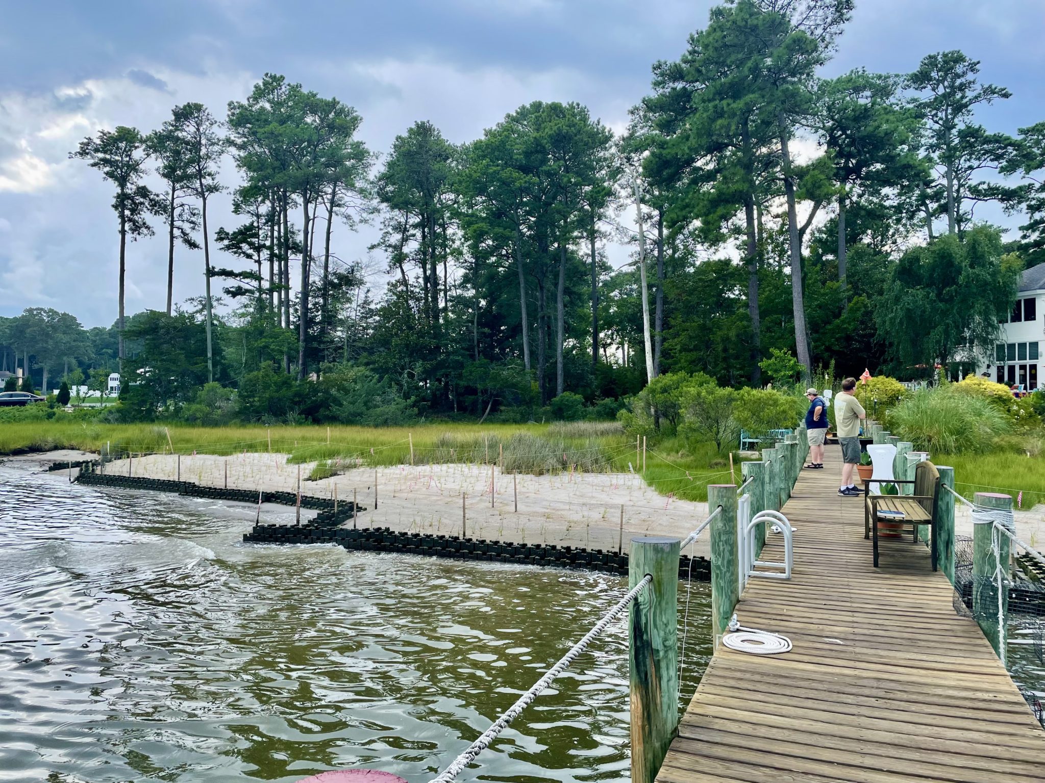 The largest living shoreline LRNow has ever been involved in ...