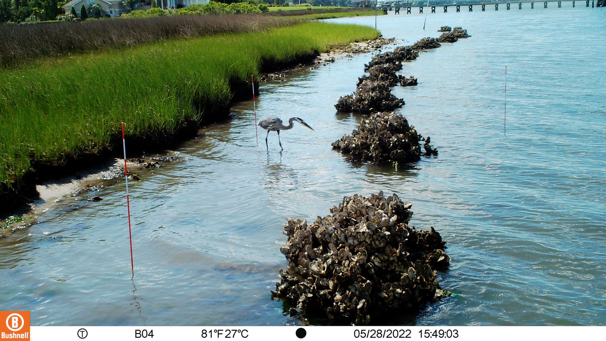 Ph. D. student works with 400,000 photos every two weeks to monitor the ...