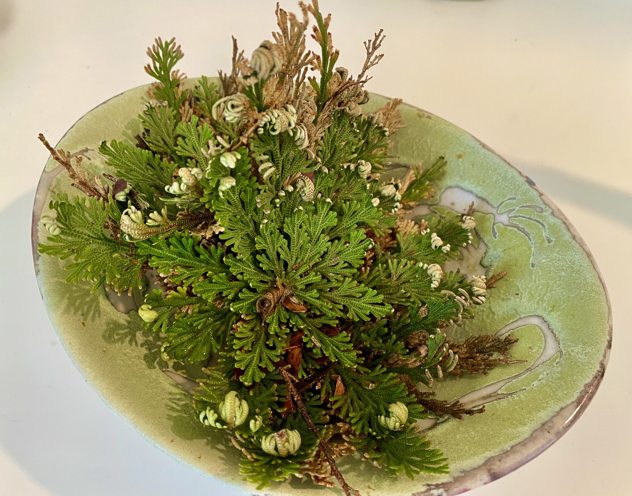 A mudball transforms into an interesting, fun holiday gift - Lynnhaven ...