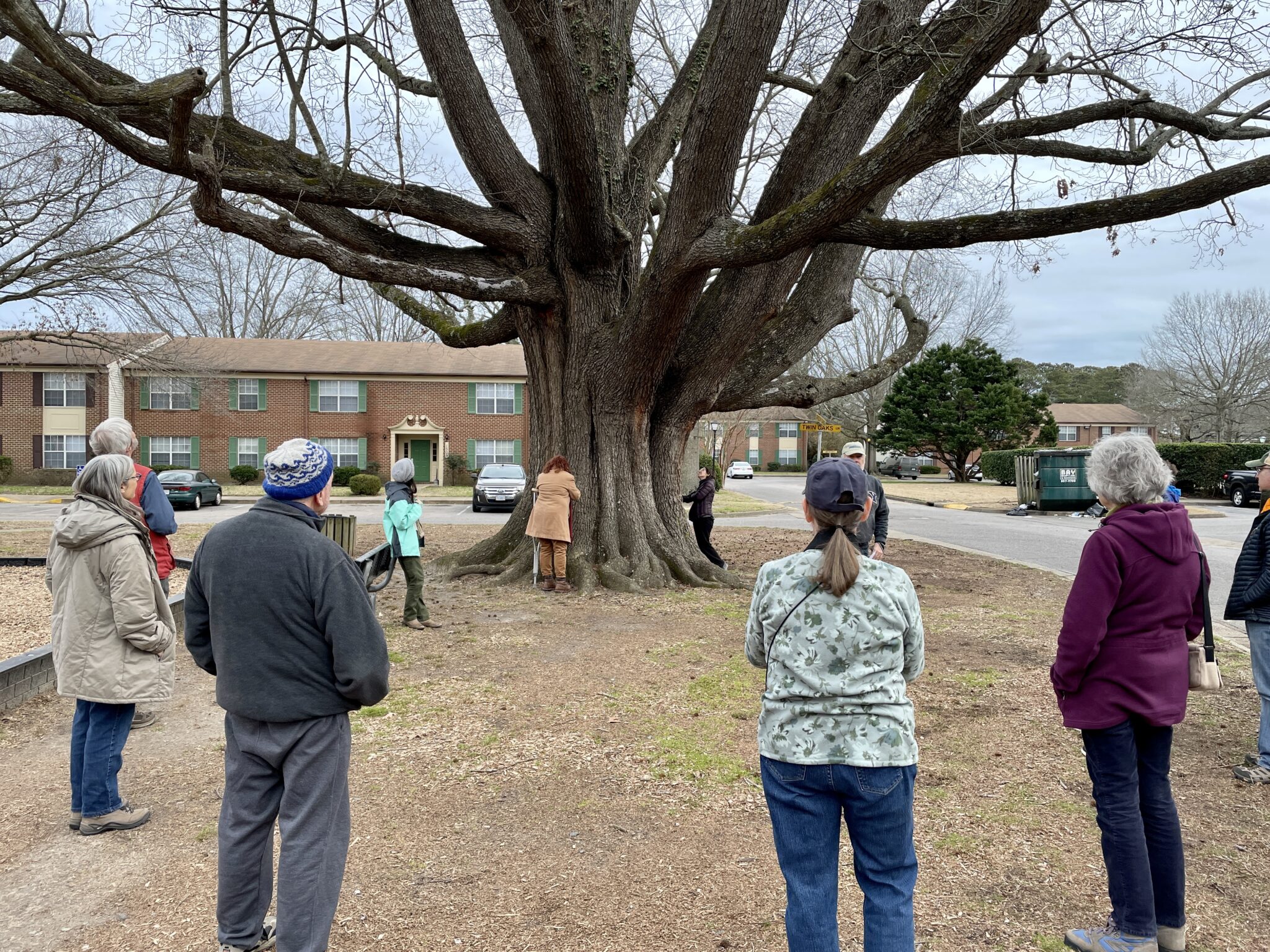 Virginia Beach Notable Tree Program - Lynnhaven River NOW
