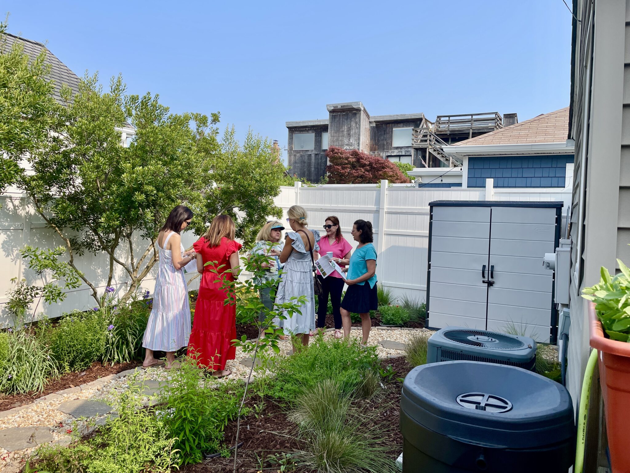 Small space native plant garden thrives at the North End - Lynnhaven ...