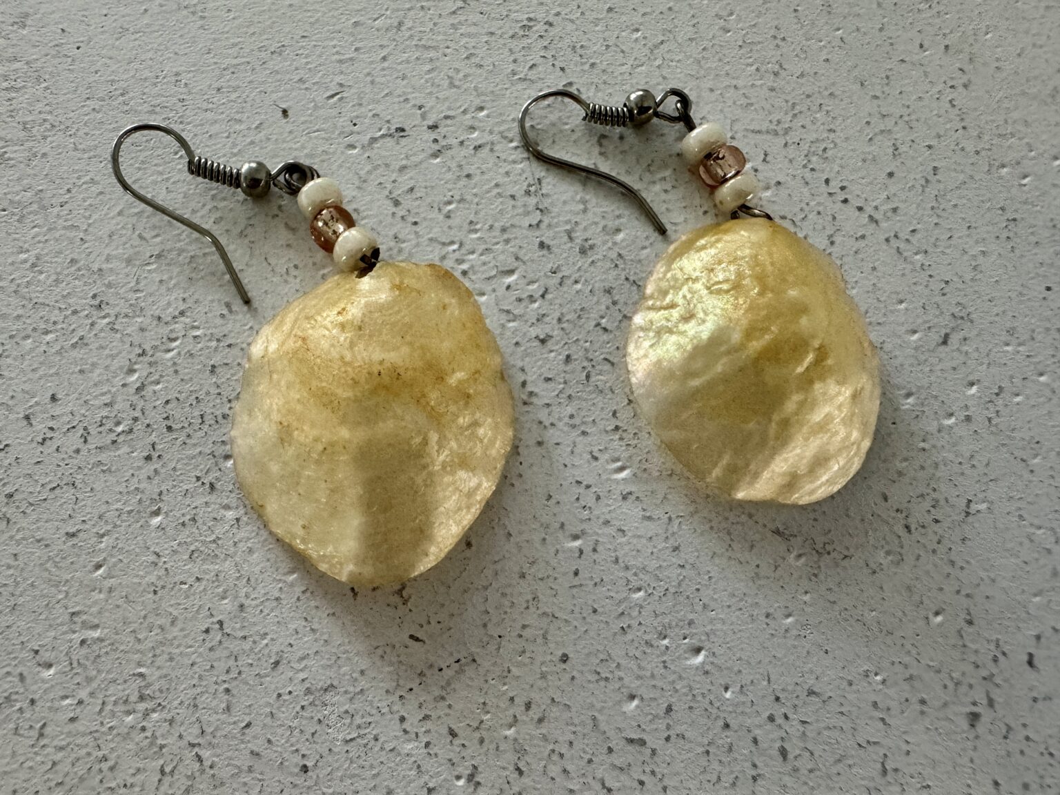 Jingle shells, jingle shells, jingle all the way! - Lynnhaven River NOW