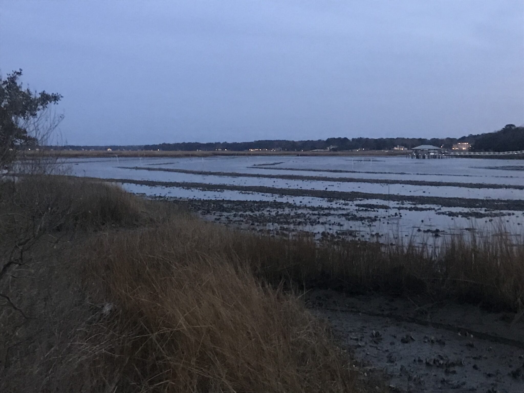 Watch an oyster reef in action at low tide along Pleasure House Creek ...
