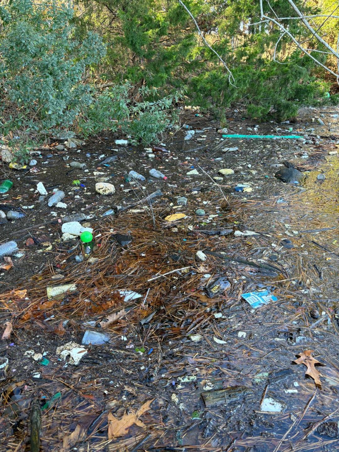 Too much trash is nothing to be grateful for this holiday. - Lynnhaven ...