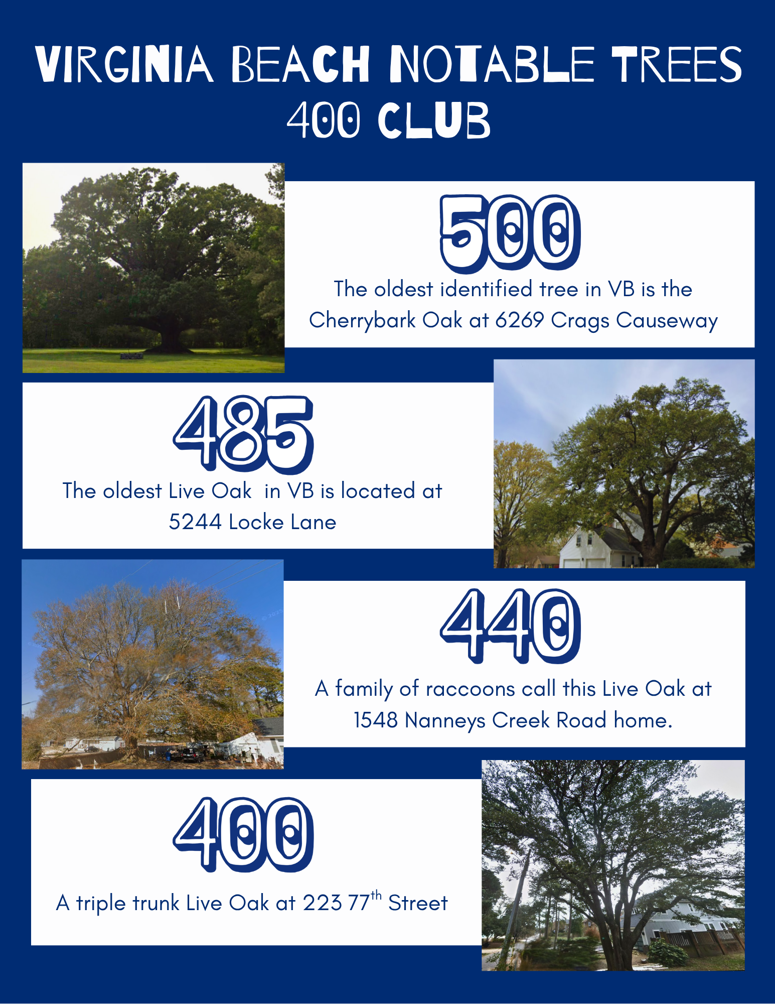 Virginia Beach Notable Tree Program - Lynnhaven River NOW