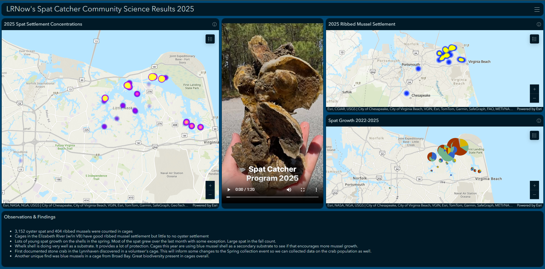 Spat Catcher Program - Lynnhaven River NOW